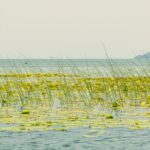 Skadar Lake Short Guided Tour: Discover the Montenegrin Alcatraz - Potential Drawbacks and Considerations