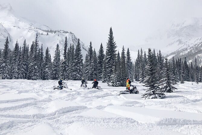 Ski-doo Snow Safari in Borovets - Why This Tour Offers Great Value