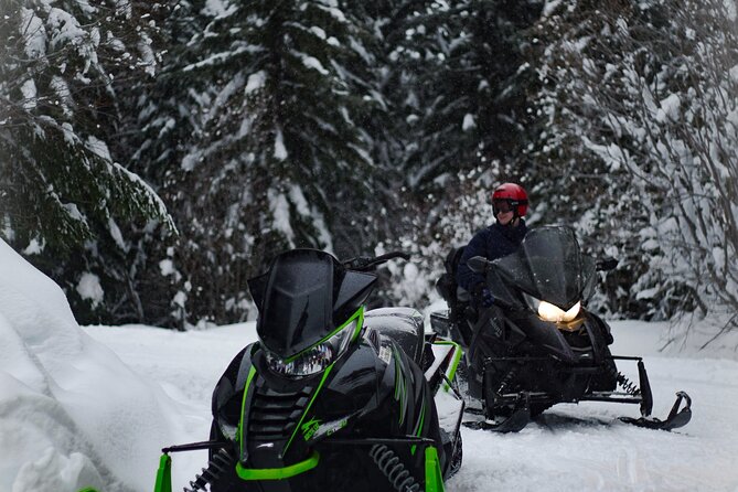 Ski & Snow Tour to Bakuriani from Kutaisi with Borjomi Stop - Key Points