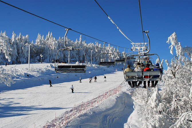 Skiing For Beginners - Private Day Trip from Krakow - Key Points