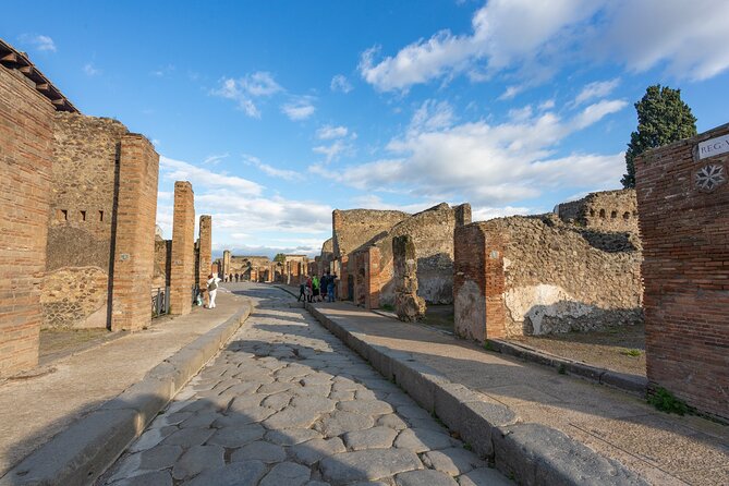 Skip the Line Pompeii Guided Tour Small Group or Private Option - Introduction: A Close-Up Look at Pompeiis Ruins