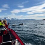 Skjervøy: Birds and Wildlife of Arctic Norway - Practical Tips for Travelers