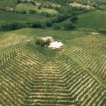 Skydeck - Picnic al tramonto - What Travelers Are Saying