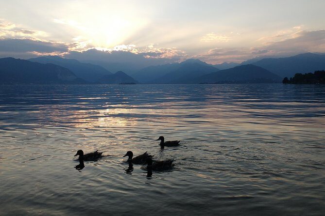 Slow boat tour for small groups with appetizer on Lake Maggiore - What Makes the Experience Special