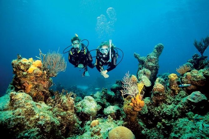 Small Group Diving Baptism in Tossa de Mar - Key Points