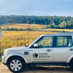 Small group full day tour in the Burgundy vineyards - What Makes This Tour Stand Out?