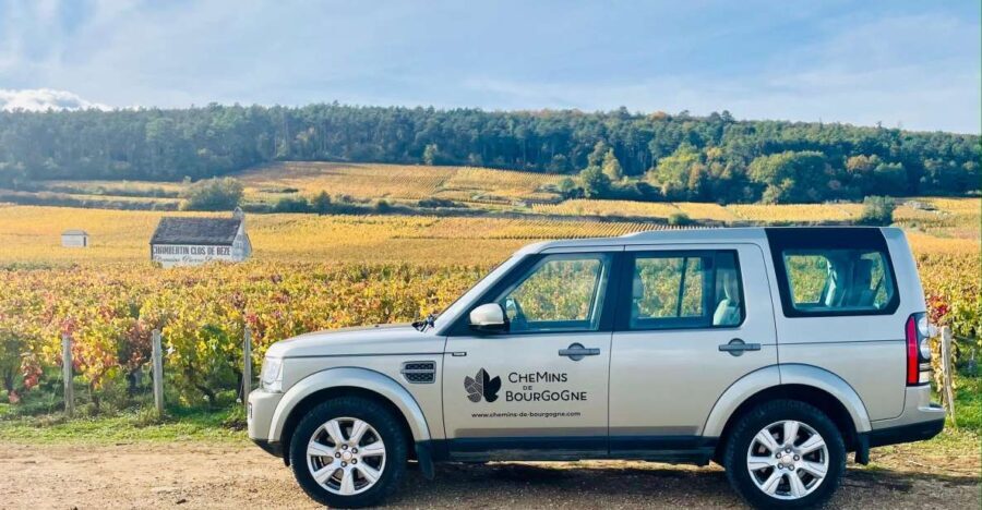 Small group full day tour in the Burgundy vineyards - What Makes This Tour Stand Out?