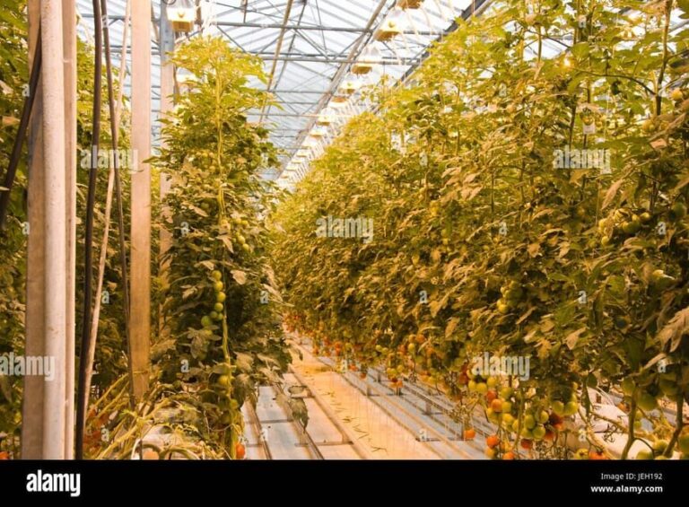 Small Group Golden Circle Tour w/ Kerid & Tomato Farm Visit - Authentic Experiences and Authenticity