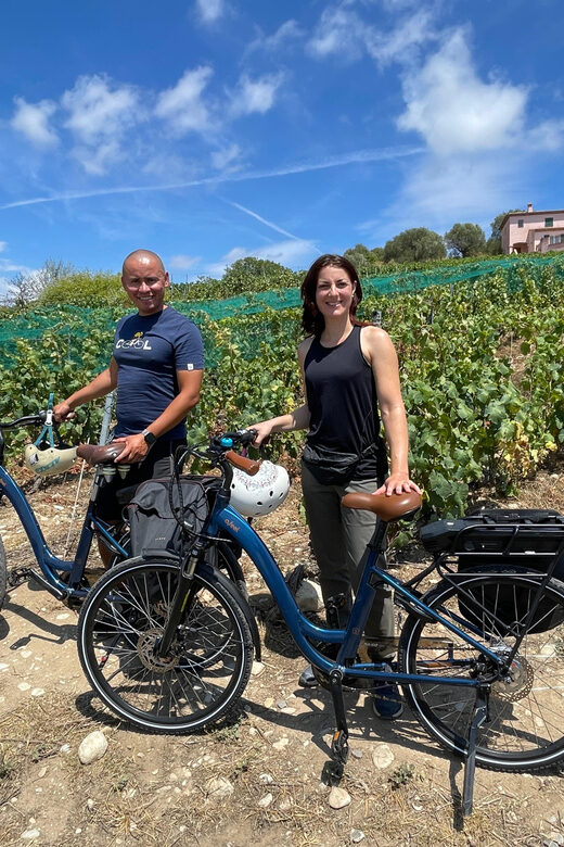 Small Group Guided E-Bike Tour in Nices Organic Vineyard - Who Is This Tour Best For?
