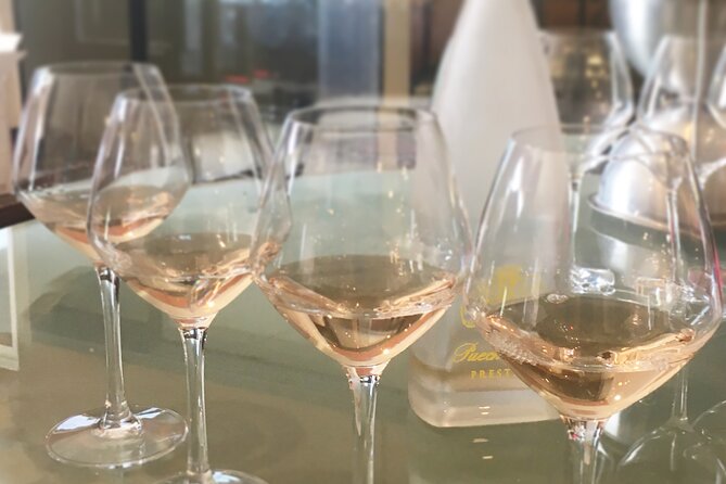 Small group half day Camargue and rosé wine tour from Montpellier - A Detailed Look at the Experience