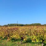 Small group hiking between the beach and Kritinia Castle - Practical Details: What You Need to Know