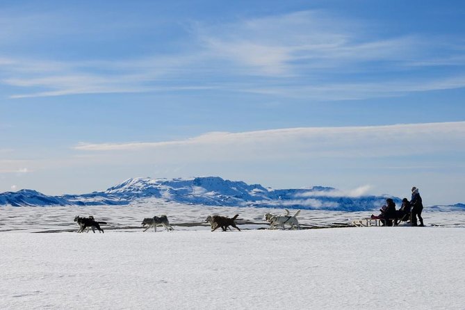 Small Group Husky Sledding Tour from Capital Region - Key Points