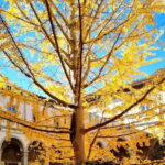 Small Group Medici and Michelangelo Tour in Florence - The Bottom Line: Who Will Love This Tour?