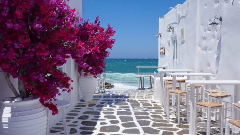Small Group Mykonos Town Tour for Cruise Passengers - What To Expect On This Tour