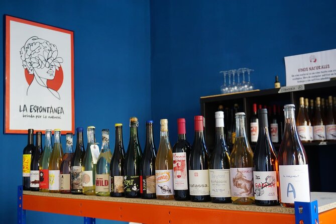 Small-Group Natural and Organic Wine Tasting near Sitges - Key Points