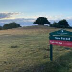 Small-group New Forest Discovery Walk from Lyndhurst - Who Is It Best For?