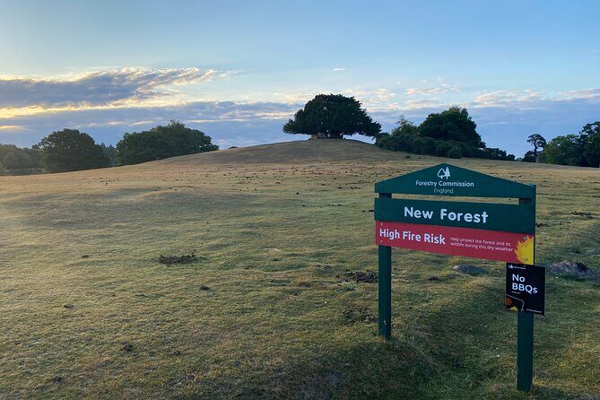 Small-group New Forest Discovery Walk from Lyndhurst - Who Is It Best For?