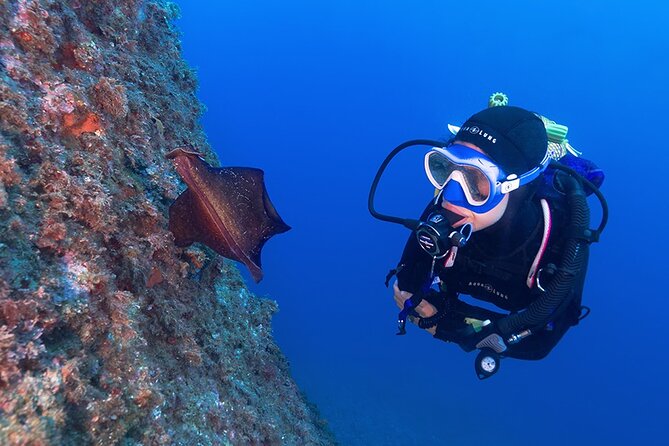 Small-Group Scuba Diving Adventure in Costa Brava - Small-Group Scuba Diving Adventure in Costa Brava: A Closer Look
