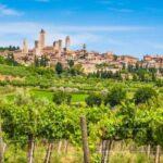 Small group tour: San Gimignano, Siena & Chianti - Transport, Value, and Practicalities