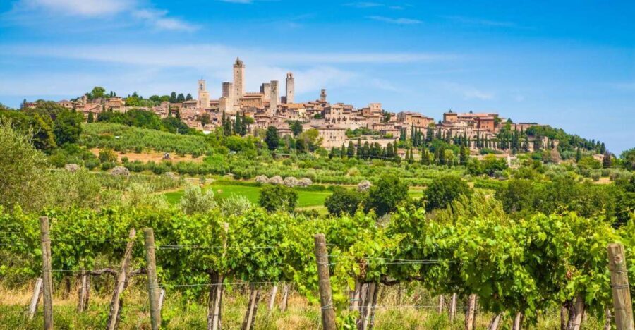 Small group tour: San Gimignano, Siena & Chianti - Transport, Value, and Practicalities