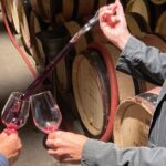 Small Group Wine Tasting Tour Côte de Beaune and Côte de Nuits - The Overall Value: What to Expect for Your Money