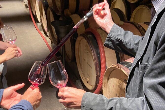 Small Group Wine Tasting Tour Côte de Beaune and Côte de Nuits - The Overall Value: What to Expect for Your Money