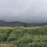 Snaefellsnes Peninsula- private guided tour - Why This Tour Is Worth the Investment