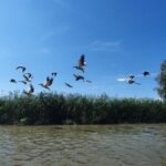 Snagov Monastery, Ceauescu Mansion, & Village Museum - 6h - The Itinerary in Detail: What to Expect