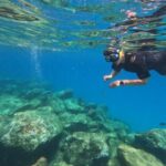 Snorkeling Boat Trip in Marine Turtles Natural Habitat - Key Points