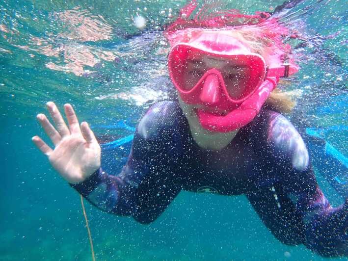 Snorkeling guided tours for tha all family! - What to Expect from Your Mallorca Snorkeling Adventure