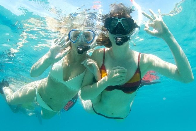 Snorkeling Tour to the Malgrats Islands by boat - Key Points