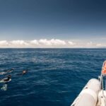 Snorkeling Wildlife in Terceira Island - What You Can Expect