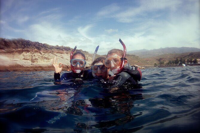 Snorkelling safari in a turtle area - Who Is This Tour Best For?