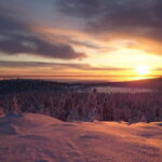 Snowshoe up a Mountain - Authentic Experiences and Satisfied Travelers