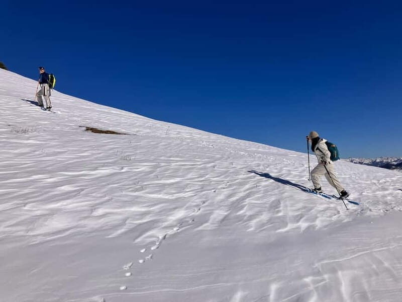 Snowshoeing in Bakuriani, Caucasus Mountains - The Itinerary: What to Expect