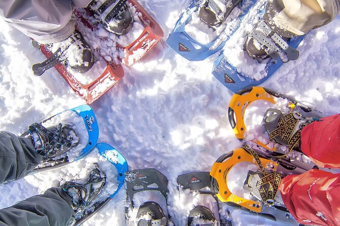 Snowshoeing in Chamonix, with a private guide - Snowshoeing in Chamonix, with a Private Guide: A Detailed Review