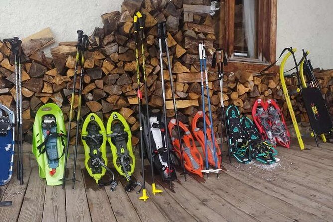 Snowshoeing in Cortina d'Ampezzo - The Experience: What Travelers Can Expect
