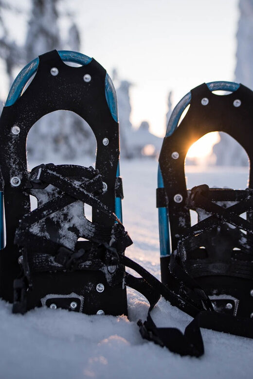Snowshoeing in the Arctic Wilderness - Authenticity and Quality