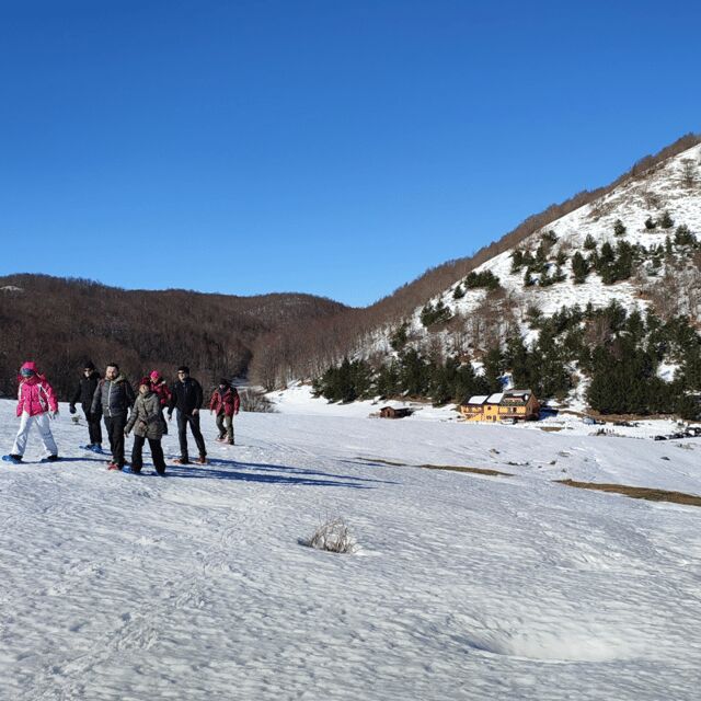 Snowshoeing in the Pollino National Park - Who Should Consider This Tour?
