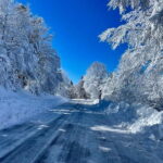 Snowshoeing on the Lure mountain - Who This Tour Is Best For