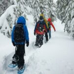 Snowshoeing tour with Wild Lunch - What to Expect During the Tour