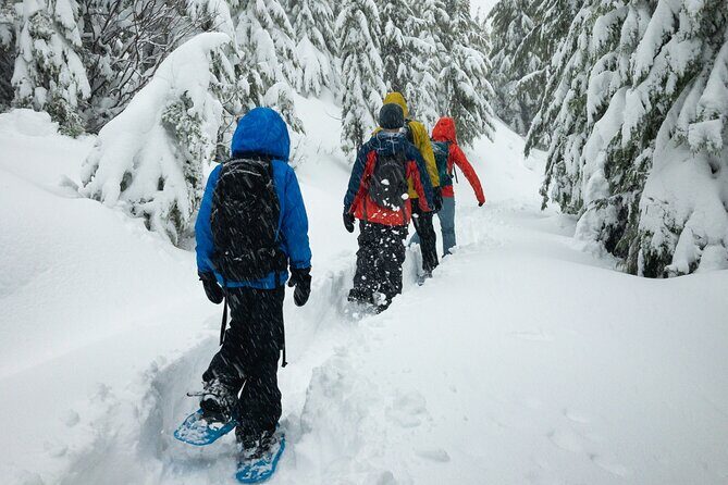 Snowshoeing tour with Wild Lunch - What to Expect During the Tour