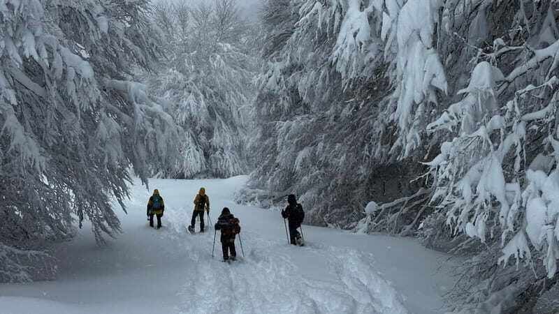 SNOWSHOES - Why This Tour Offers Great Value