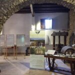 Soap and Olive Oil Experience - What’s Included and What’s Not