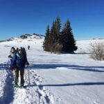 Sofia: Black Peak-Vitosha Mountain Snowshoeing Day Trip - The Itinerary: A Day in the Mountains