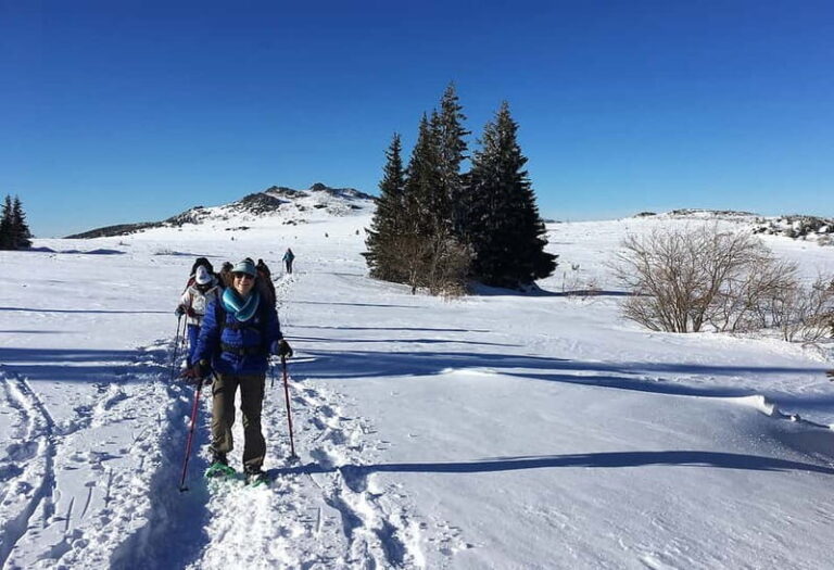 Sofia: Black Peak-Vitosha Mountain Snowshoeing Day Trip - The Itinerary: A Day in the Mountains