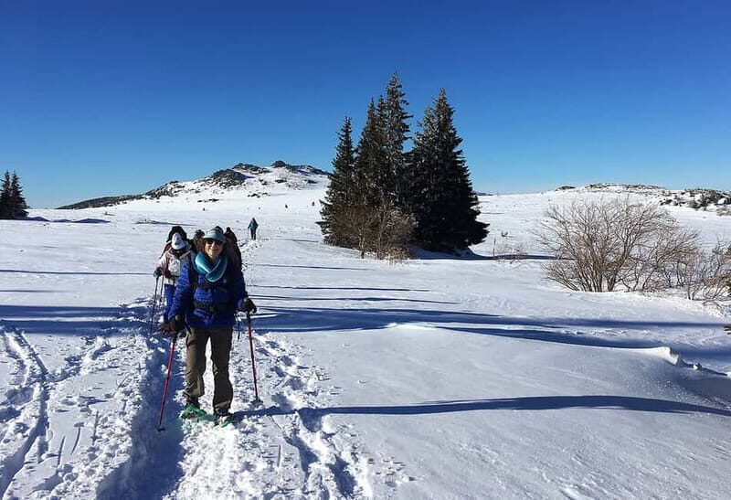Sofia: Black Peak-Vitosha Mountain Snowshoeing Day Trip - The Itinerary: A Day in the Mountains