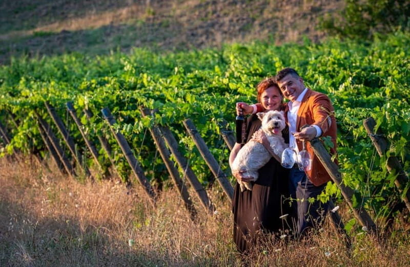 Soiana: Vineyard & Cellar Tour with Wine Tasting near Pisa - Inside the Cellar: Tradition Meets Innovation