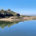 Solar Boat Tour along the Salgado da Ria de Aveiro - The Itinerary and What to Expect
