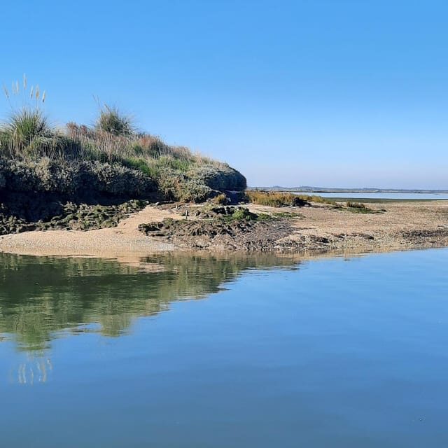 Solar Boat Tour along the Salgado da Ria de Aveiro - The Itinerary and What to Expect
